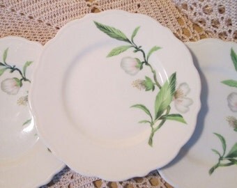 Dogwood pattern | Etsy