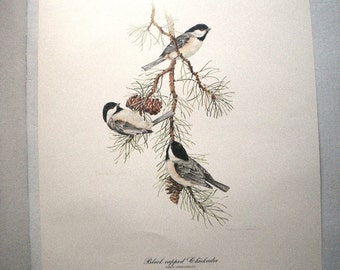 Don whitlatch | Etsy