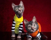 Sphynx Cat Clothes Cat Toys Pet Supplies by SimplySphynx on Etsy