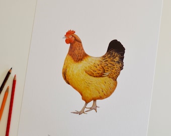 Hen art | Etsy