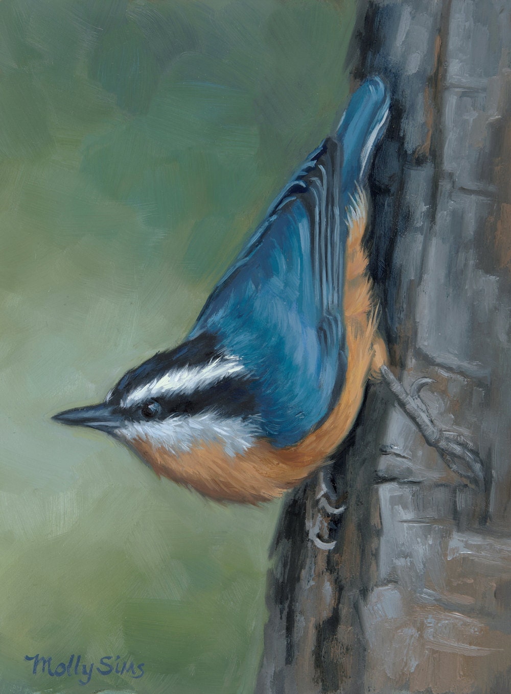 Red breasted nuthatch Nuthatch bird painting by MollySimsFineArt