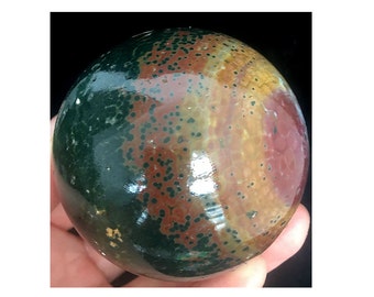 Unique madagascar palm related items | Etsy