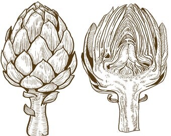 Artichoke drawing | Etsy