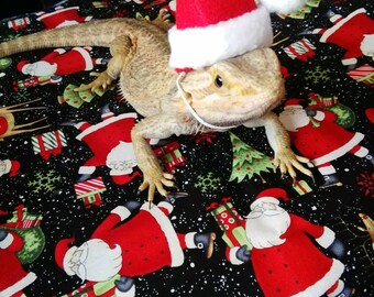 Crested geckos | Etsy