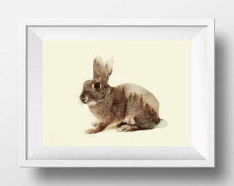Unique rabbit decor related items | Etsy
