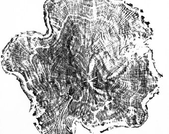 Tree stump print | Etsy