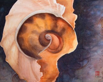 Seashell artwork | Etsy