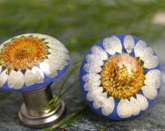 Rain Forest Jasper Cabinet Knobs or Drawer by KnuckleheadKnobs