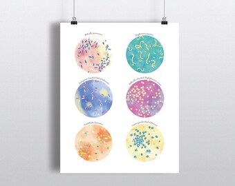 Microbiology poster | Etsy