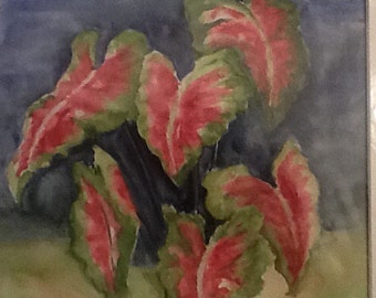 Caladium | Etsy