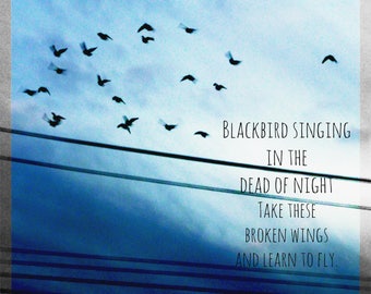 Beatles blackbird | Etsy