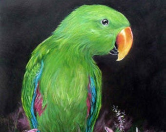 Parrot drawing | Etsy