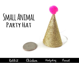 Mini birthday hat | Etsy