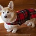 Custom Corgi Hoodies by CreationsbyAnnieB on Etsy
