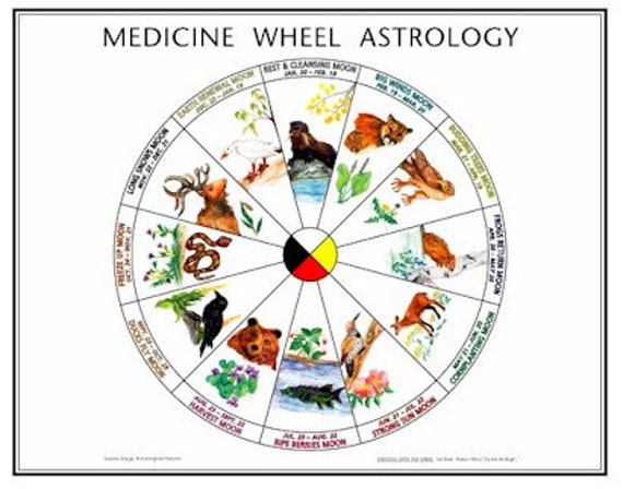 Medicine Wheel Astrology Art Poster