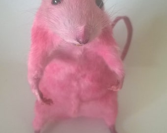 Anthropomorphic | Etsy