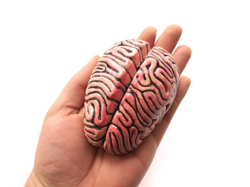 Ceramic Brain Sculpture Desk accessory Anatomy by 99heads on Etsy