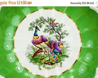 Peacock china | Etsy