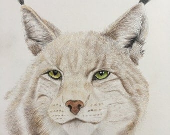 Lynx drawing | Etsy