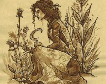 Medieval herbs | Etsy