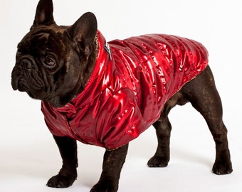 Frenchie clothes | Etsy