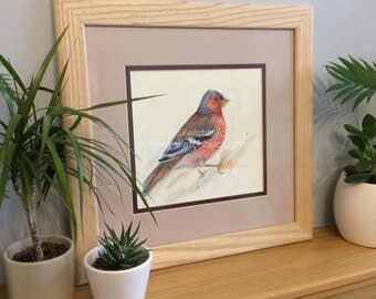 Chaffinch | Etsy UK