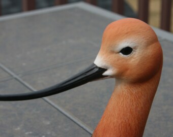 American avocet | Etsy