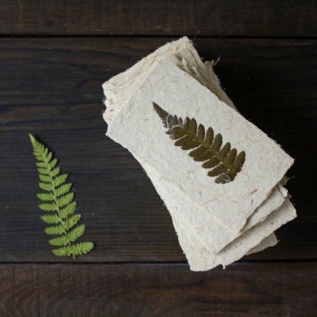 Handmade paper from plant fibers by PaszkowskiPaper on Etsy