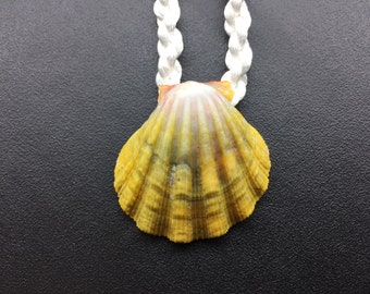 Sunrise shell | Etsy