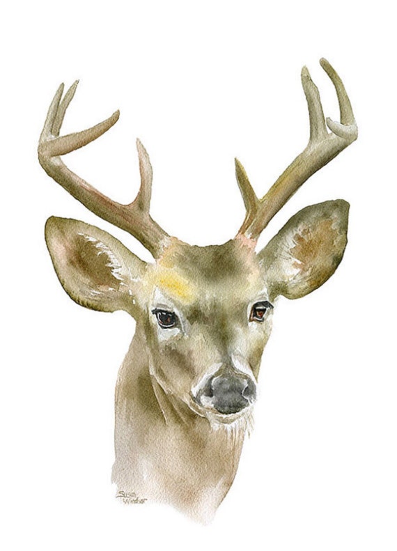 Buck Watercolor Print 24x36 Large Fine Art Poster Deer