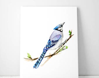 Blue jay art | Etsy