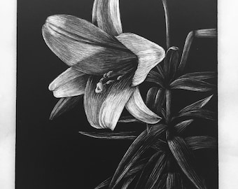 Scratchboard art | Etsy