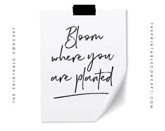 Bloom where you are planted | Etsy