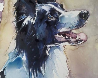 Collie dog art | Etsy