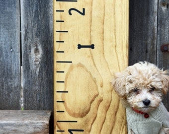 Growth charts decals and custom items for by LittleAcornsByRo