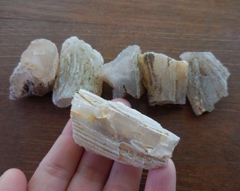 Agatized limb cast | Etsy