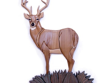 Whitetail buck | Etsy