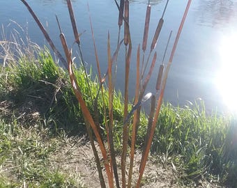 Metal cattails | Etsy