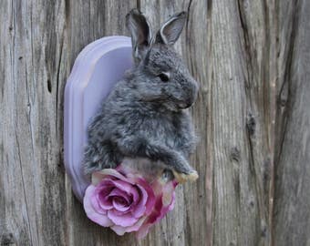 Lavender rabbit | Etsy