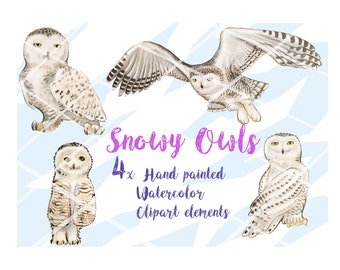 Snowy owl clipart | Etsy