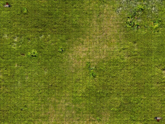 Dnd Grass Grid My Xxx Hot Girl