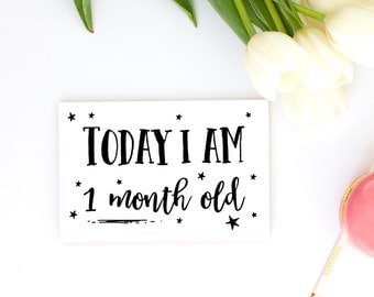 6 month photo prop | Etsy