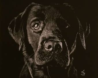 Scratchboard drawing | Etsy