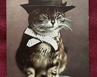 Cat top hat | Etsy