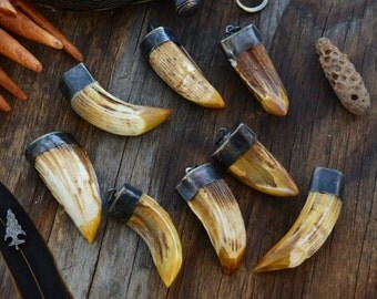 Wild boar teeth | Etsy