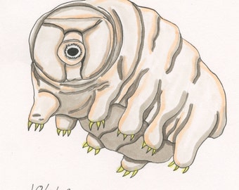 Tardigrade | Etsy