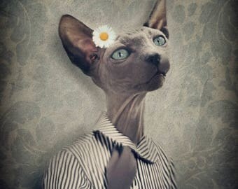 Sphynx cat art | Etsy