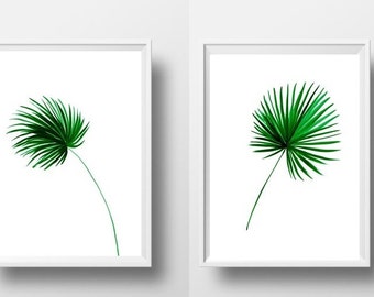 Fan palms | Etsy