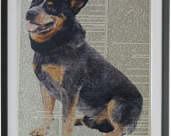 Blue heeler | Etsy