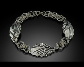 20 Tall Fernleaf Fiddleneck Seeds-1161B